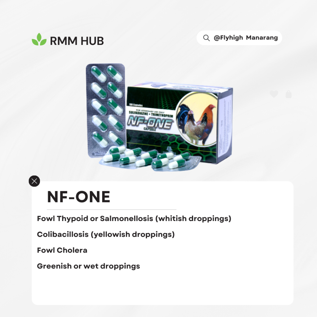 NF-ONE [EXCELLENCE] 1PC - RMM HUB | Shopee Philippines