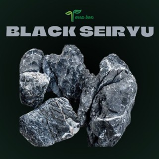 DRAGON STONE, BLACK SEIRYU STONE AND RYUOH STONE FOR AQUARIUM AND ...