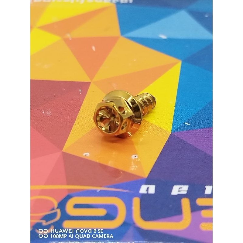 HENG 5X15 BODY SCREW FLOWER TYPE( PRICE IS PER PIECE) | Shopee Philippines