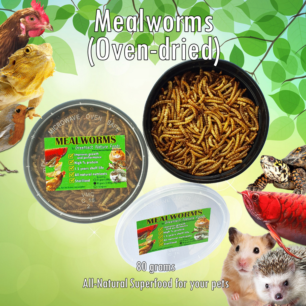 GREENSECT Mealworm Pet Food Treats Fish Food Birds with Ceramic Food ...