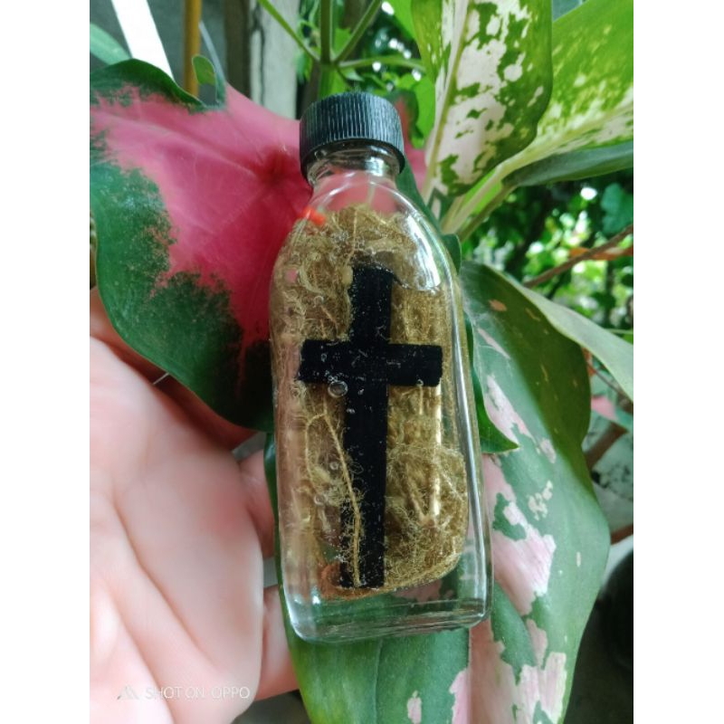 langis pampahid na may kasamang pangontra(panghaplas o panghilot ...