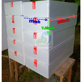 14/15/18/21 HOLES TUNA BOX/GROW BOX/BRAND NEW/FOR HYDROPONICS/WITH CUPS ...
