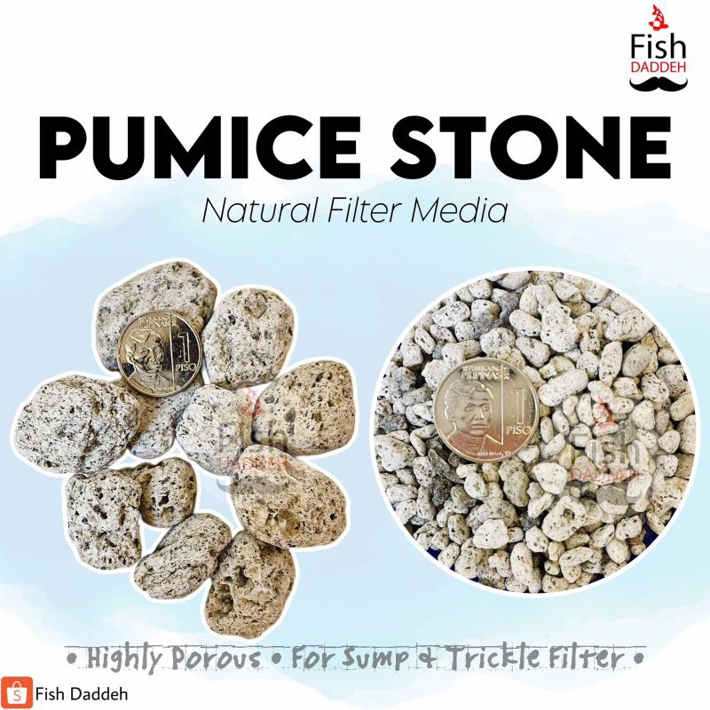 Pumice Stone 1kg [3/4 gravel size | monggo size] | Shopee Philippines