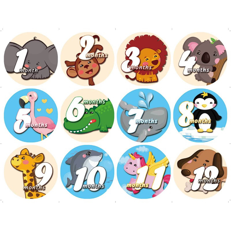 12 months Baby Milestone Stickers Monthly Photo Picture Props | Shopee ...