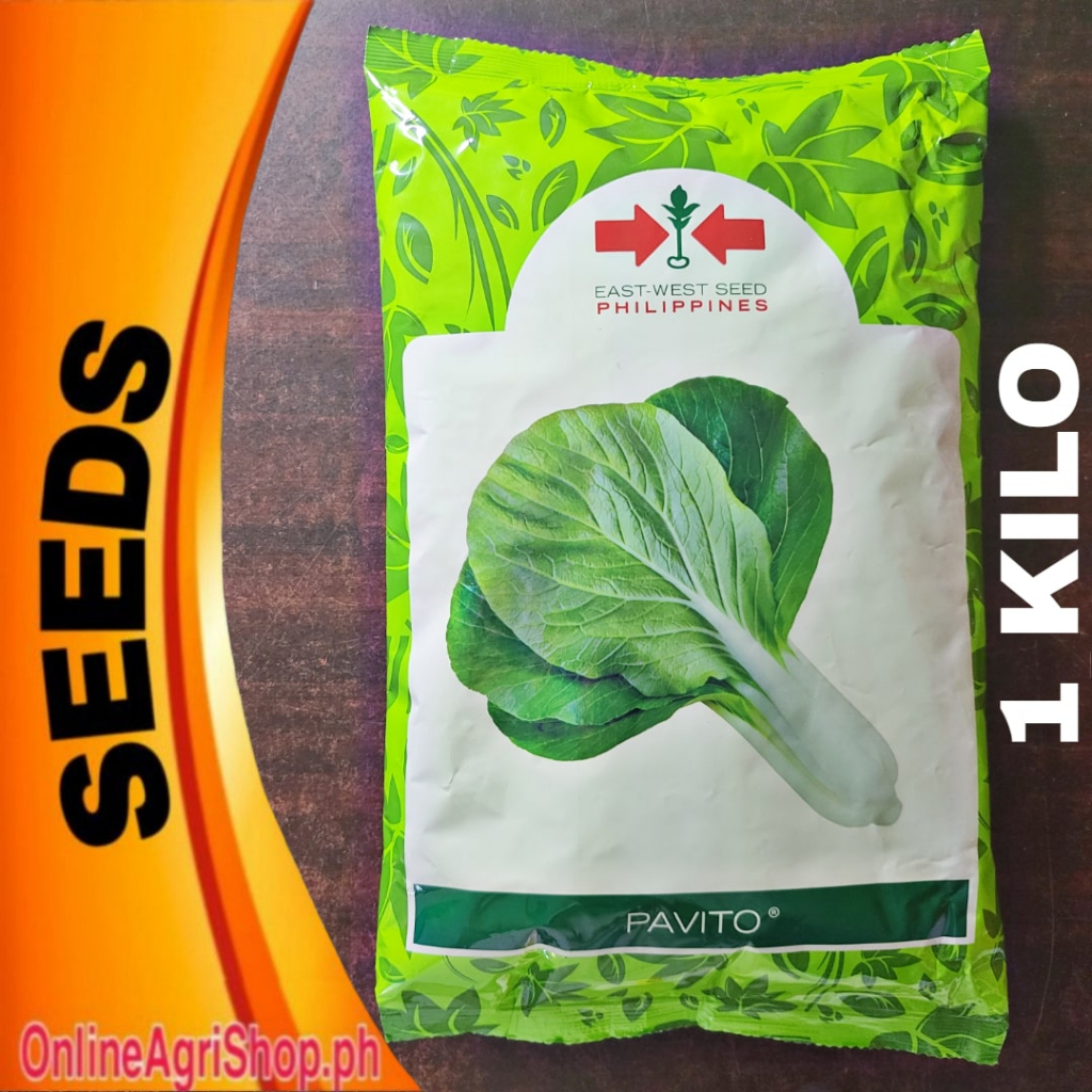 PAVITO (1 KILO) PECHAY SEEDS BY EAST WEST SEEDS ORIGINAL PACKING ...