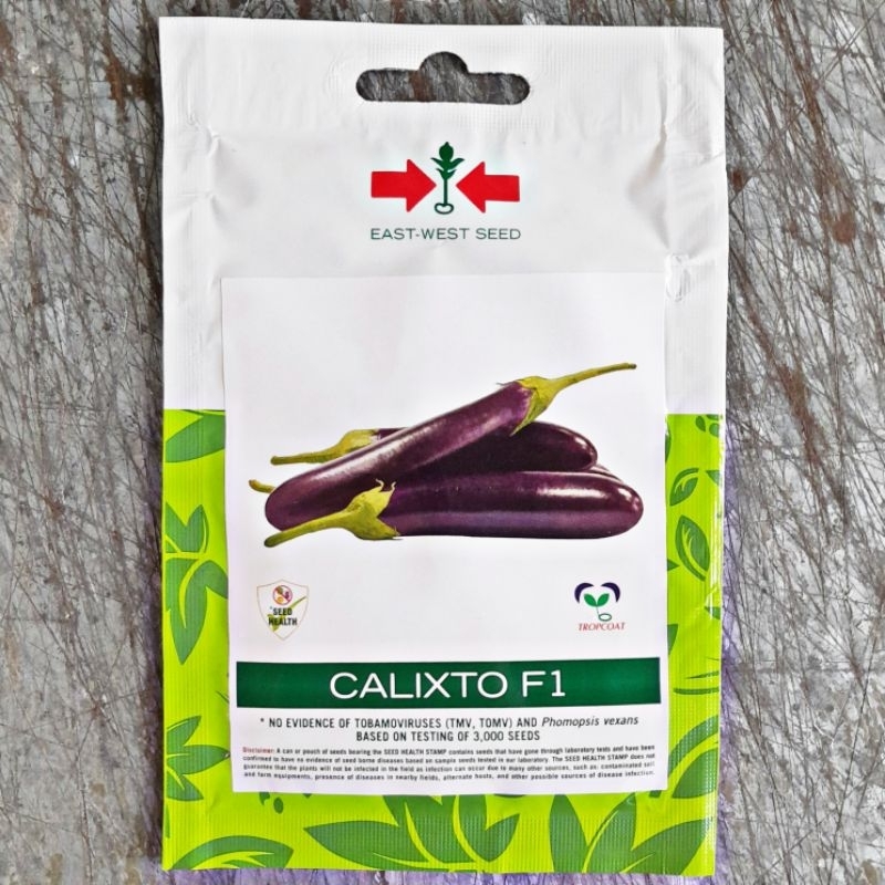 CALIXTO F1 HYBRID EGGPLANT SEEDS ASENSO PACK (875 SEEDS) EAST WEST SEED ...