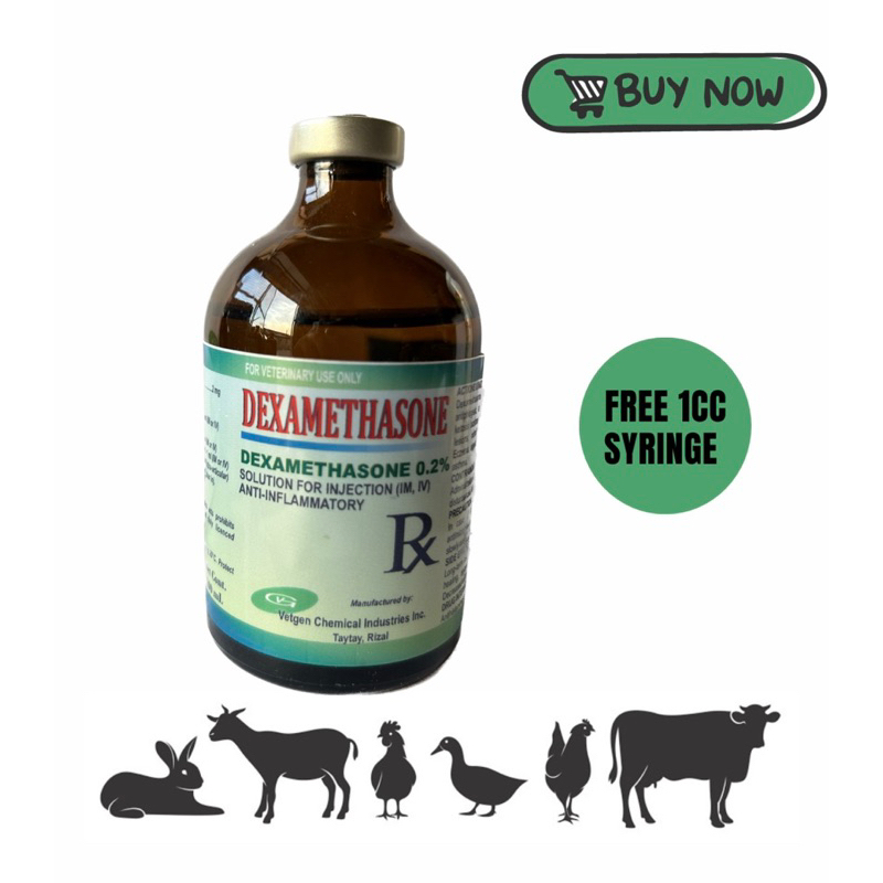 DEXAMETHASONE 100ML FOR ANIMALS | VETERINARY PRODUCTS | Shopee Philippines