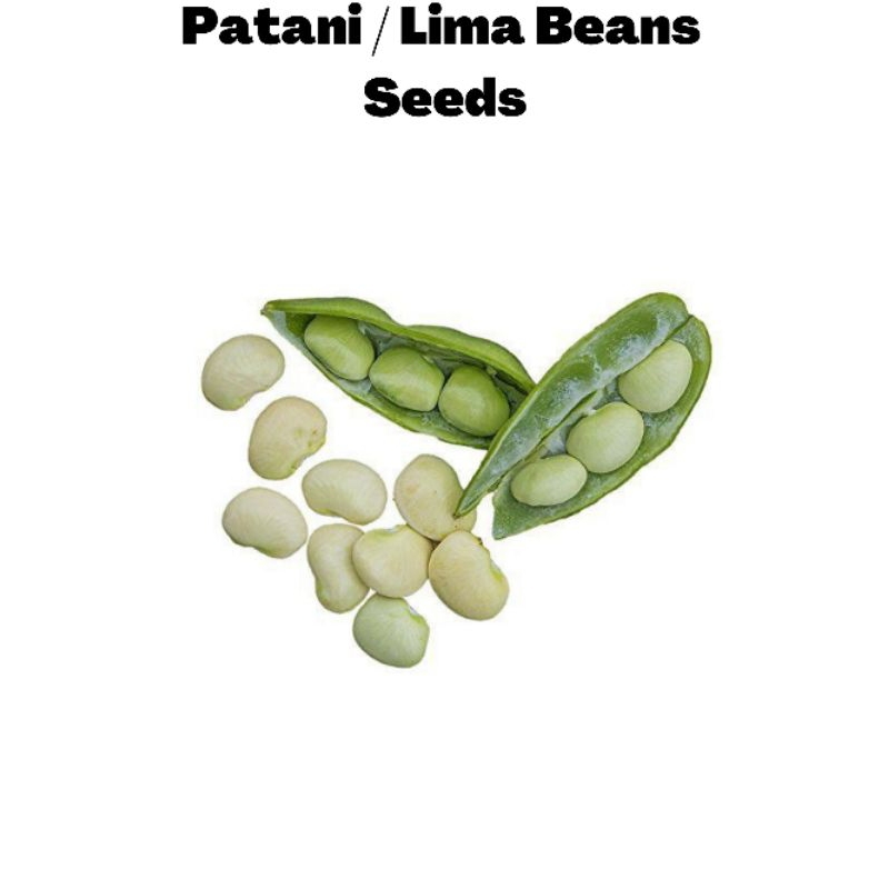 Patani / Lima beans ( 4 Seeds ) - 1pack | Shopee Philippines