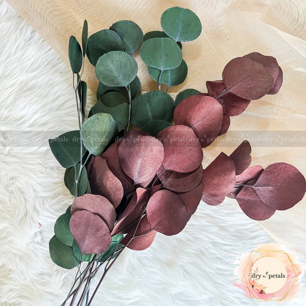 Silver Dollar Flower (2-3 stems) Natural Dried Flower Boho Theme Cake ...