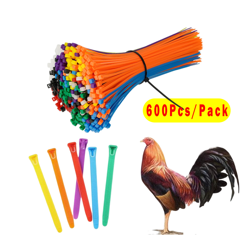 600Pcs Colorful Leg Band for Gamefowl Rooster Personalized Legband ...