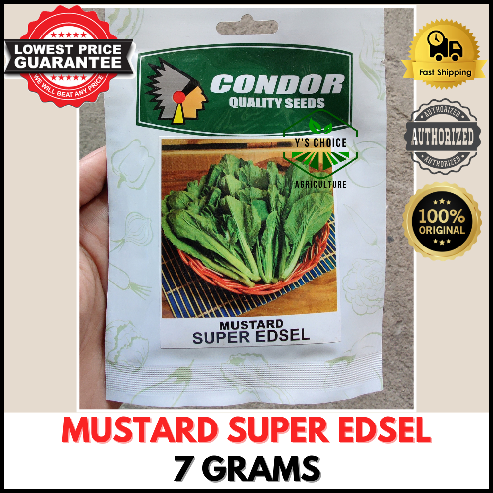 CONDOR SEEDS - MUSTARD SEEDS - SUPER EDSEL 7 Grams | Shopee Philippines