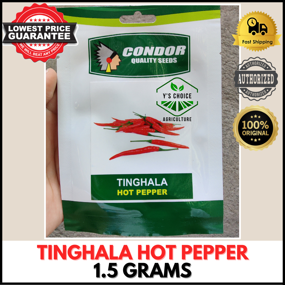 CONDOR SEEDS - PEPPER SEEDS - TINGHALA 1.5 Grams | Shopee Philippines