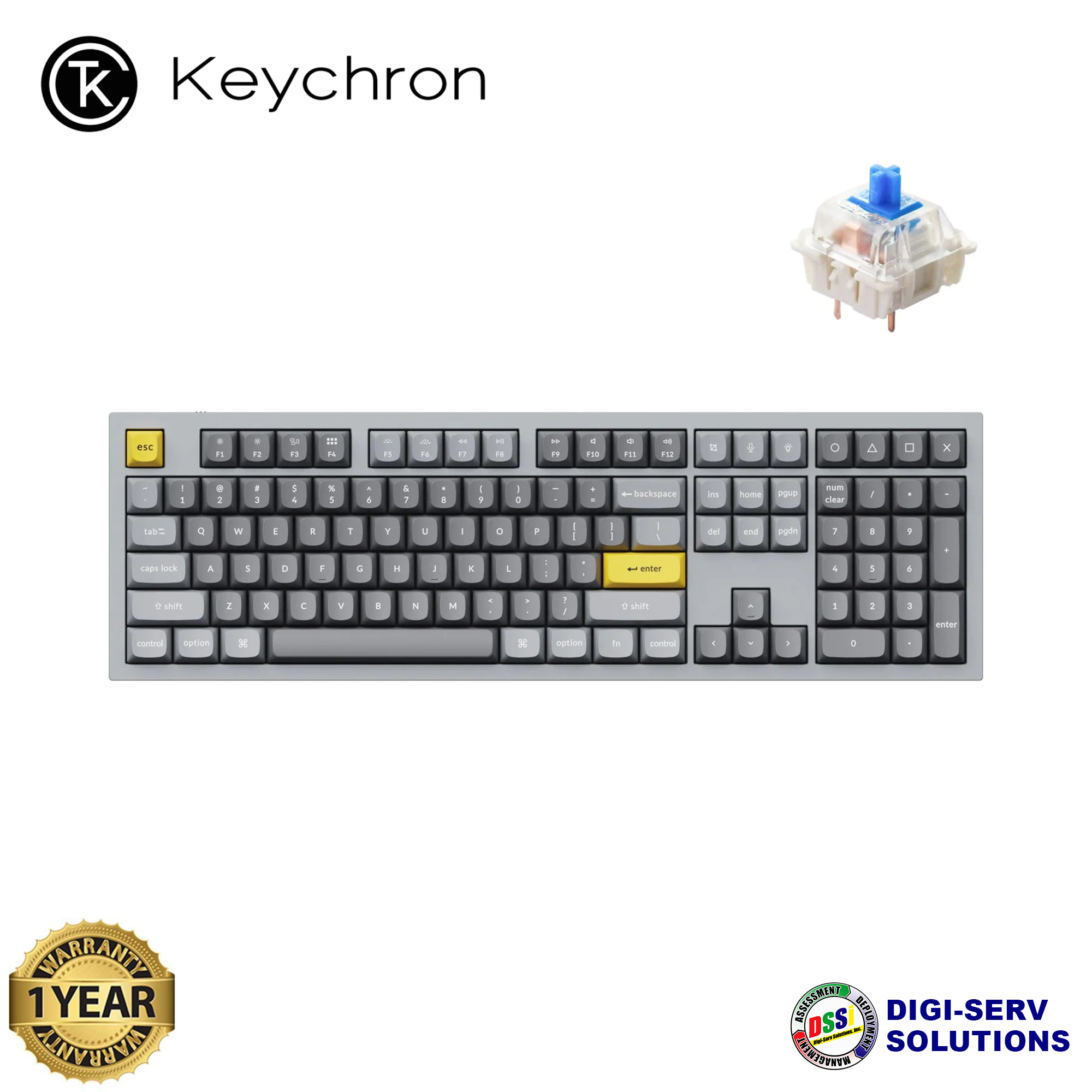 Keychron Q6-D2 Wired Mechanical Keyboard, Swappable RGB Backlight Blue ...