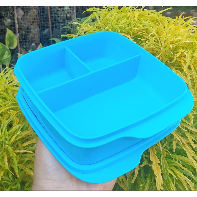 Tupperware Square Divided Lunch Box | Shopee Philippines