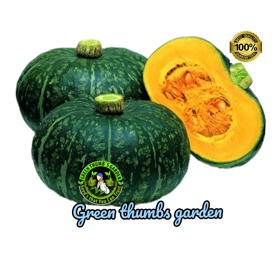 KALABASA SEEDS "MALAGKIT" SQUASH VARIETY | Shopee Philippines