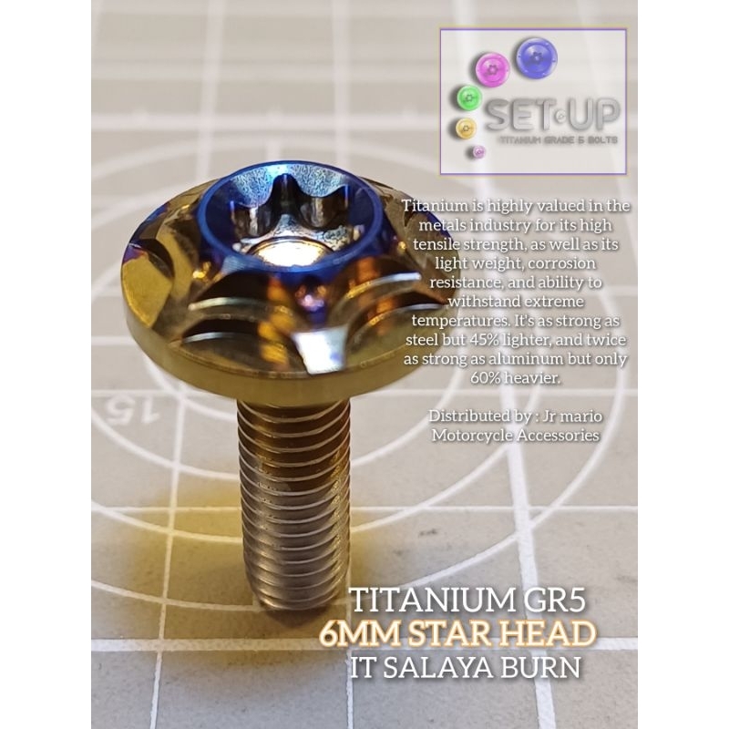 TITANIUM GR5 BURN 6MM STAR HEAD 1PC | Shopee Philippines