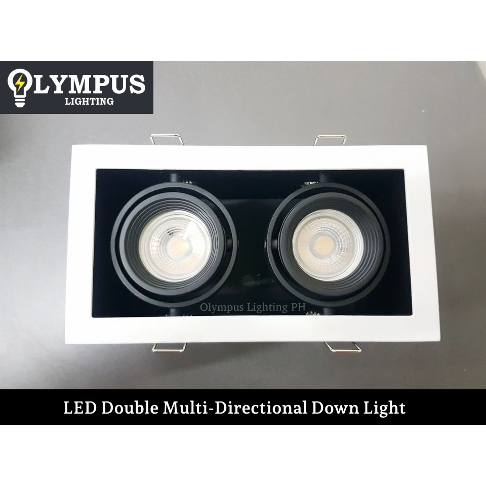 Olympus LED Double Multi-Directional Down Light Pinlight (Replaceable ...