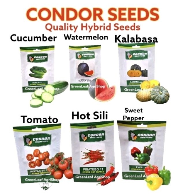 Condor Quality Trusted Vegetable/ Gulay Seeds Sold per Original Pack ...