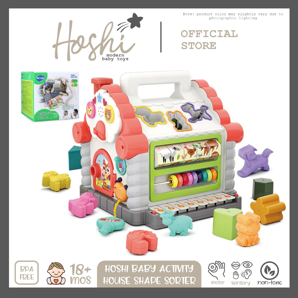 Hoshi Baby Busy Activity House Shape Sorter, Shape Sorting Busy ...