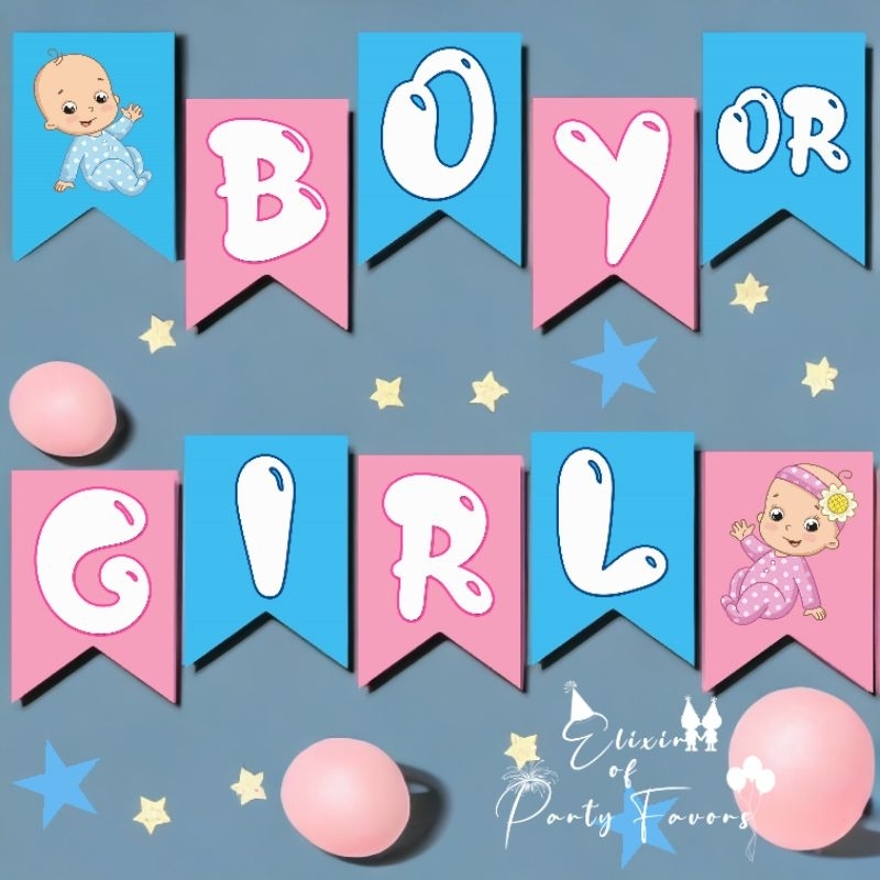 Gender Reveal Banner Boy or Girl Banner | Shopee Philippines