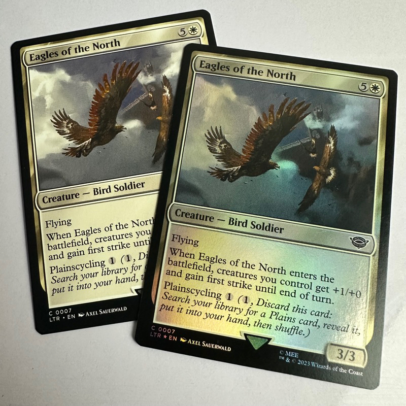 EAGLES OF THE NORTH | LTR THE LORD OF THE RINGS | BIRD SOLDIER | WHITE ...