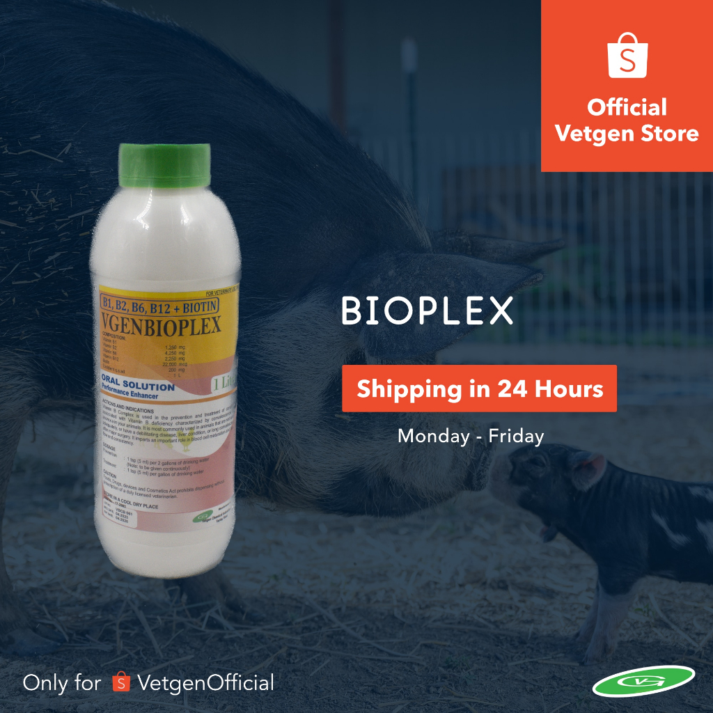BIOPLEX for Animals 1L | Vitamin B Complex | Oral Solution | Vet ...