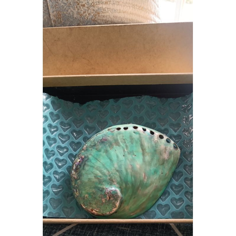 Abalone Shell for smudge with box | Shopee Philippines