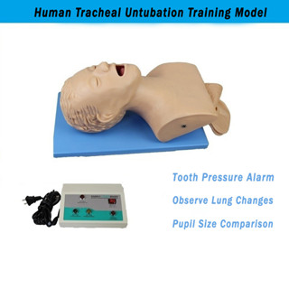 Student Tracheal intubation training model Endotracheal Tube Model ...