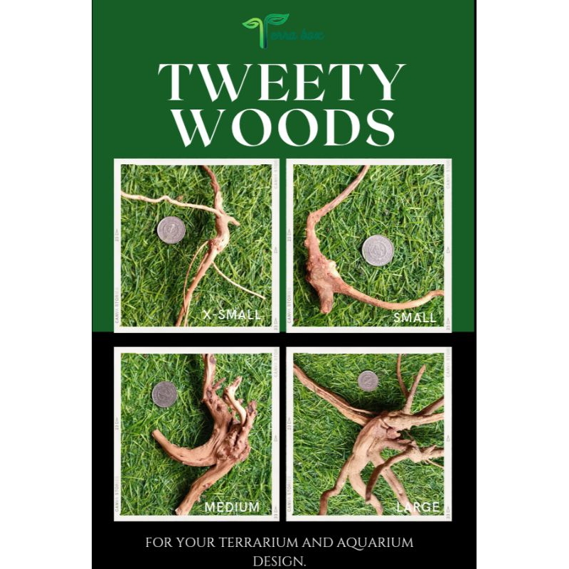 TWEETY WOODS FOR AQUARIUM AND TERRARIUM BONSAI AND DESIGN | Shopee ...