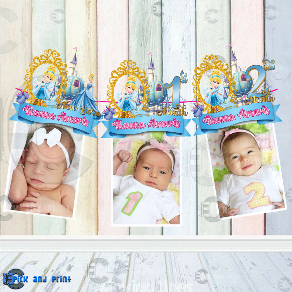 Personalized Cinderella Theme Baby Milestone 0-12 months Photo Banner ...