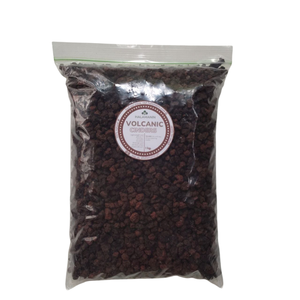 Volcanic Rock Cinders "Lava Rock" (Coarse 1kg) - Halamanin | Shopee ...