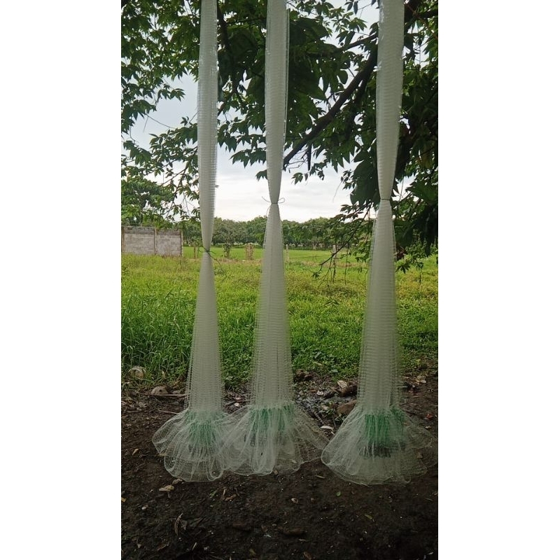 LAYA O DALA 2 KILOS (FISHING NETS) | Shopee Philippines
