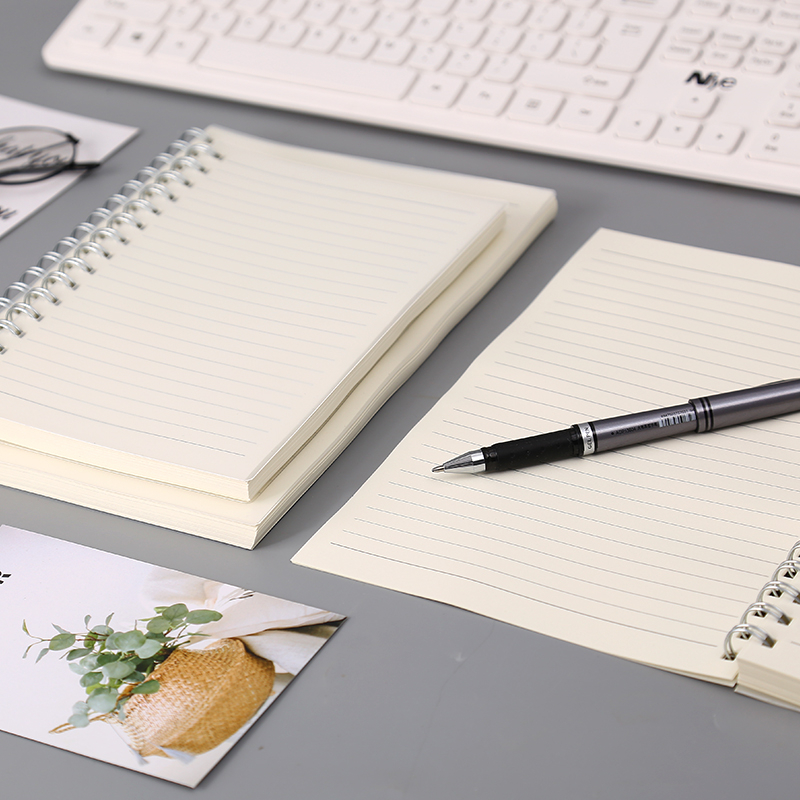 A5 Transparent Softcover Blank Spiral Notebook Notebooks - 80 Sheets ...