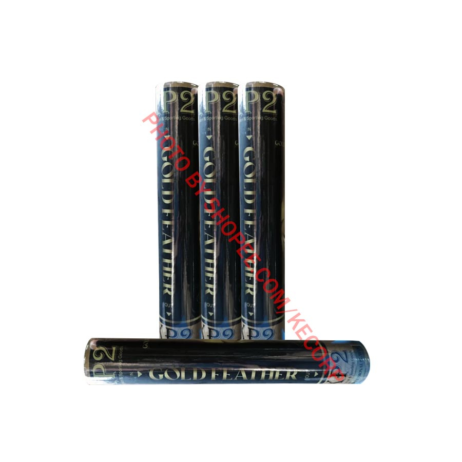 Xp2 Red / Silver / Titanium & RSL Shuttlecock KECORP_S1 | Shopee ...