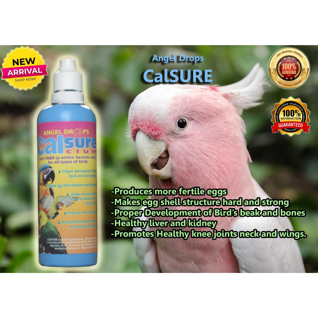 Angel Drops Calsure 120ml (Blue Bottle) Produces More Fertile Eggs And ...