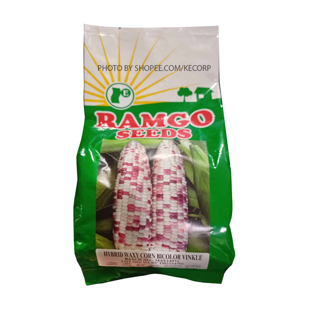 Ramgo Kilo Pack Hybrid Waxy Corn Bicolor Vinkle Seeds S4 GDSFPH_S4 ...