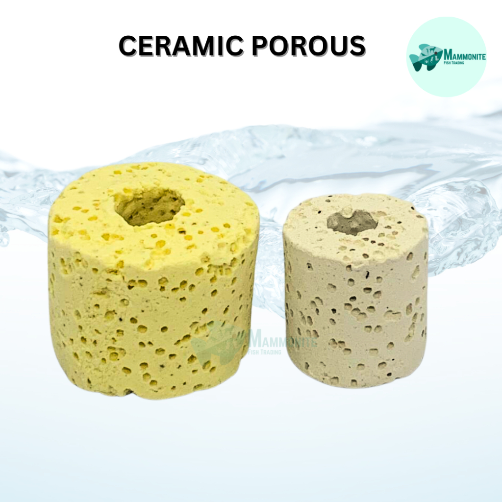 Aquarium Ceramic Porous Ring 250g Filter Media | Shopee Philippines