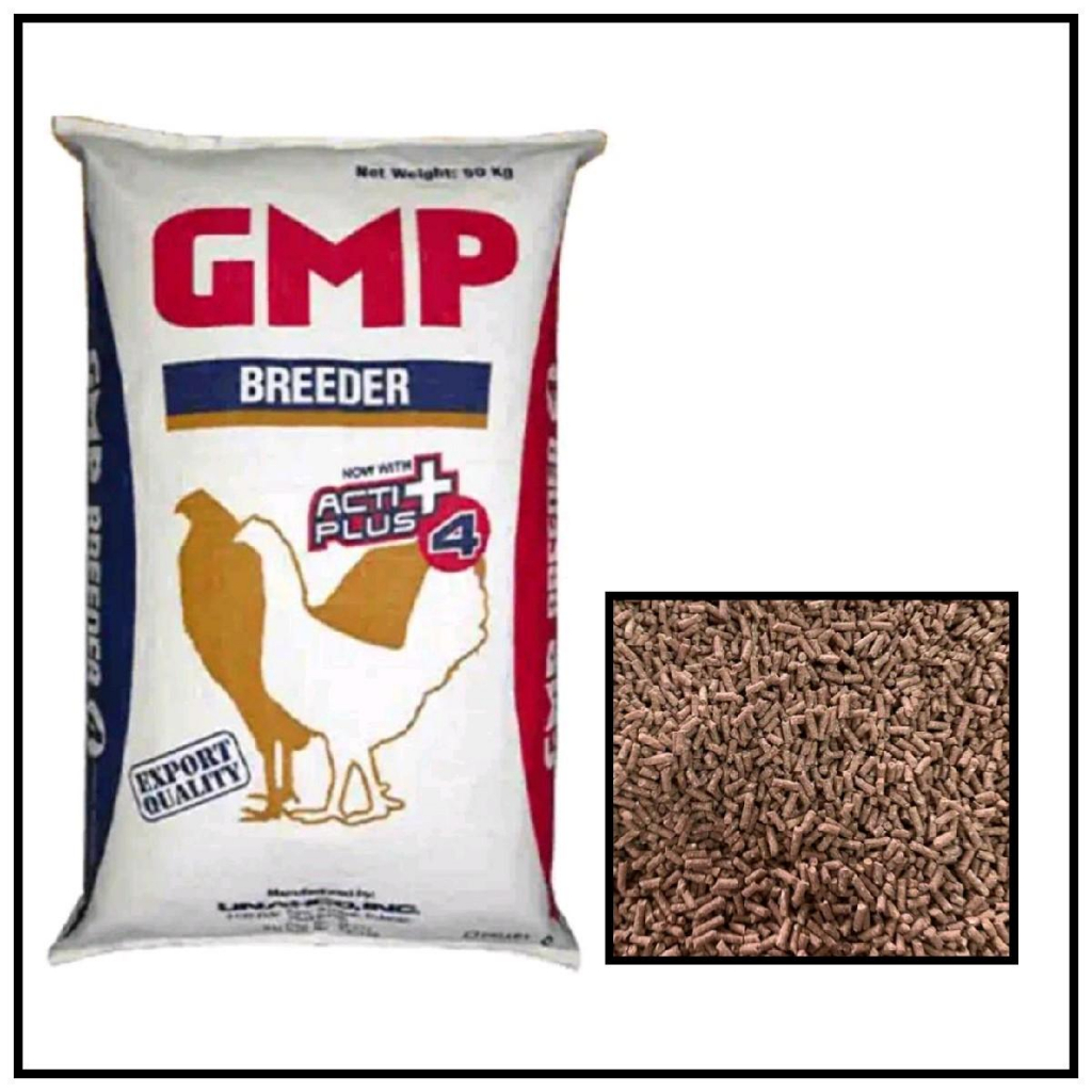 GMP ACTIVPLUS PER 1 KILO | Shopee Philippines
