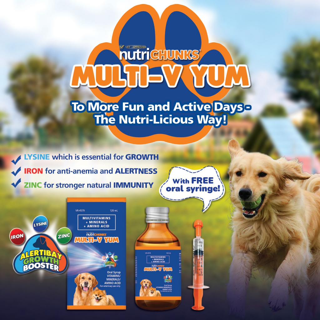Nutri Chunks Multi-V Yum 120ml | Shopee Philippines Nutri Chunks Multi-V Yum 120ml | Shopee Philippines