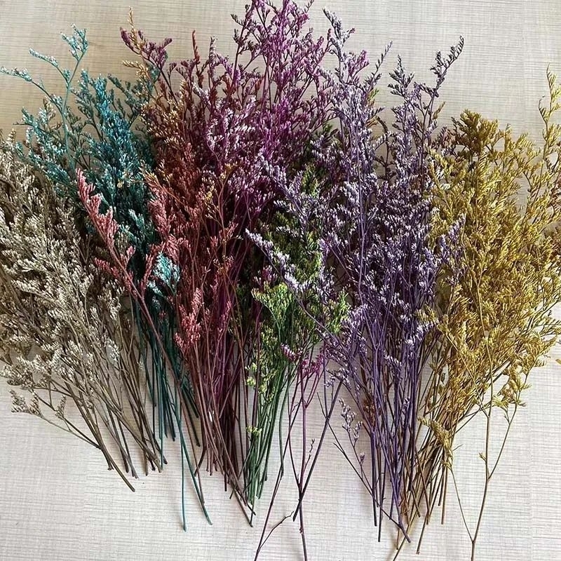 Dried Small Misty Preserved Real Dried Flowers Gift Wedding Party Home ...