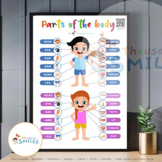 Body Parts Chart Laminated Wall Poster A4 size for Kids Educational ...