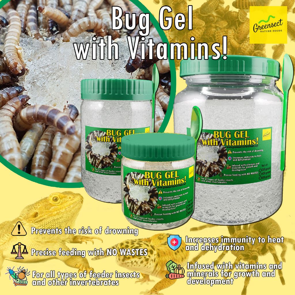 BugGel with Vitamins Pet Food Crystal Gel Petfood Hydrogel by Greensect ...