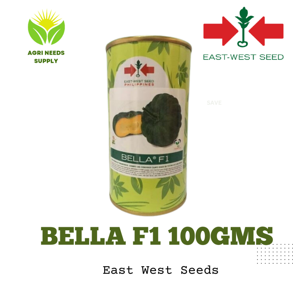 Kalabasa (Squash) Bella F1 East West seeds 100gms | Shopee Philippines
