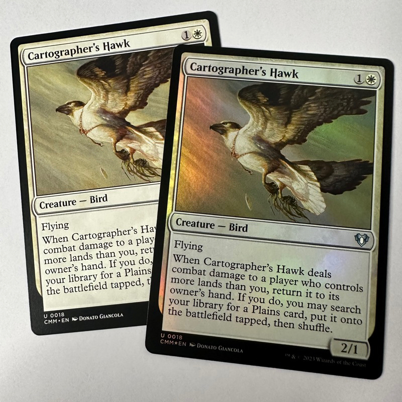 CARTOGRAPHER’S HAWK | CMM COMMANDER MASTERS | WHITE | MTG MAGIC THE ...