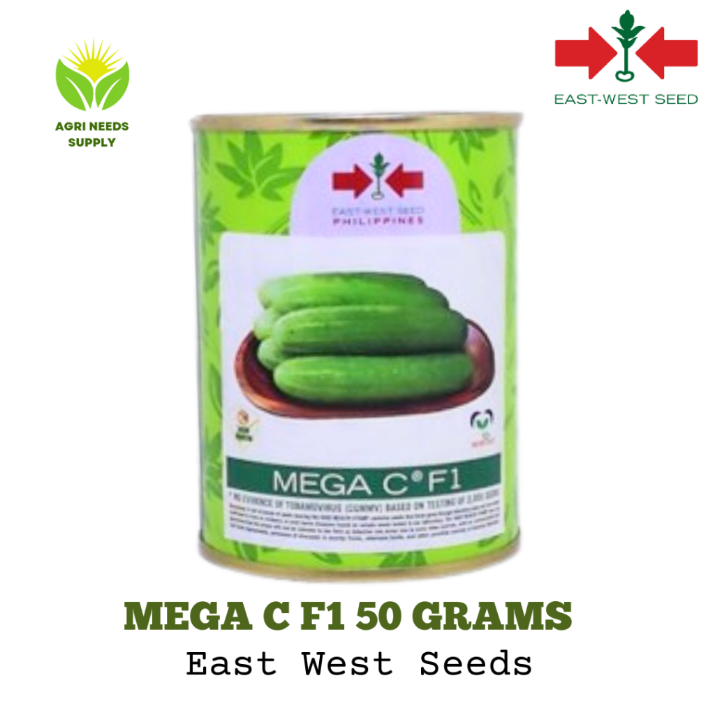Cucumber (Pipino) Mega C F1 East West Seeds 50gms | Shopee Philippines