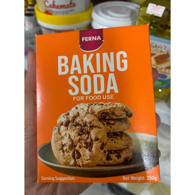 Ferna baking soda 250g and 500g | Shopee Philippines