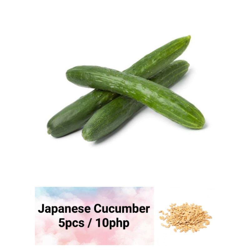 Japanese Cucumber Seeds (5pcs) | Shopee Philippines