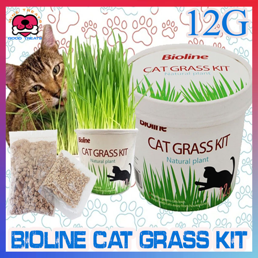 (VARIATION) Bioline Cat Grass Kit Natural CAT GRASS Seeds 12g/ Masti ...