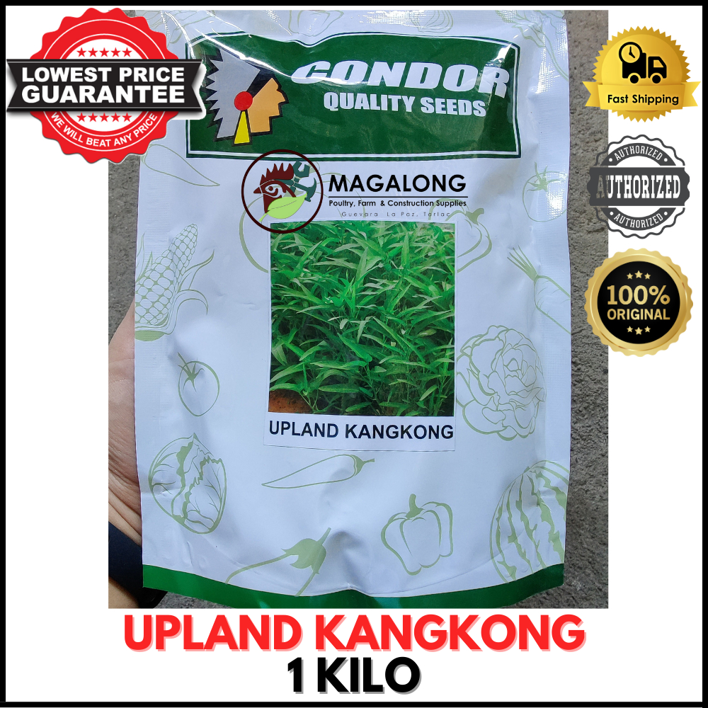 CONDOR SEEDS - KANGKONG SEEDS - UPLAND - 1 KILO | Shopee Philippines