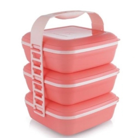 Tupperware Outdoor Food Containers / Plates 1.6L each Picnic Set Trio ...